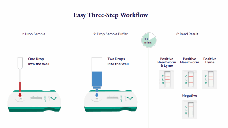 Canine Heartworm & Lyme Rapid Test | TruRapid™ HW + Lyme – Antech ...