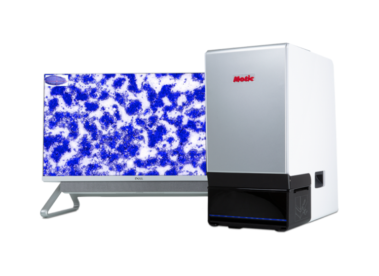 Element DCX™ | Antech Diagnostics