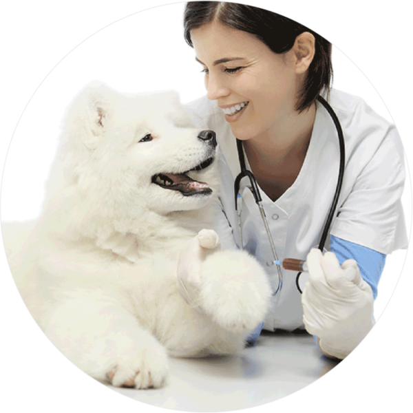 Nu.Q® | Antech Diagnostics