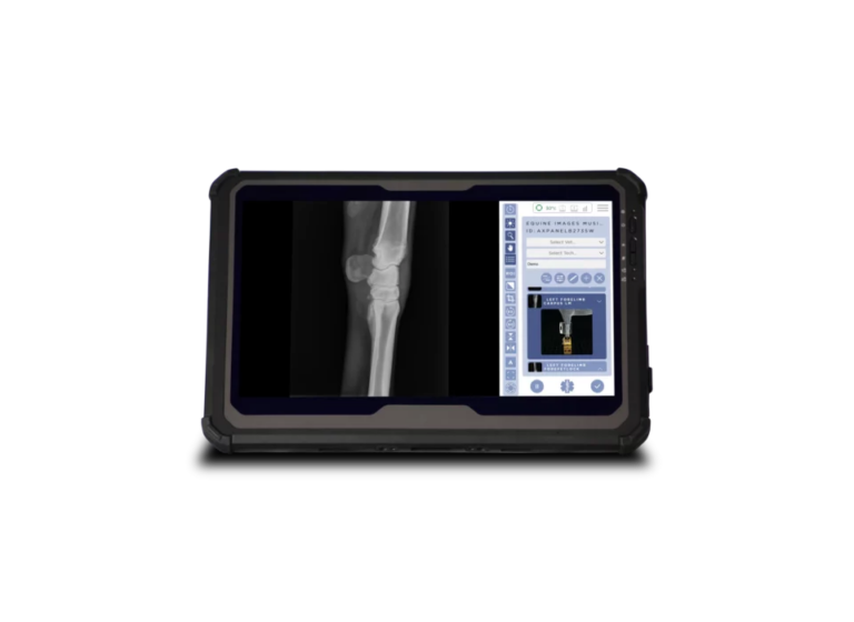 Digital Radiography | Antech Diagnostics