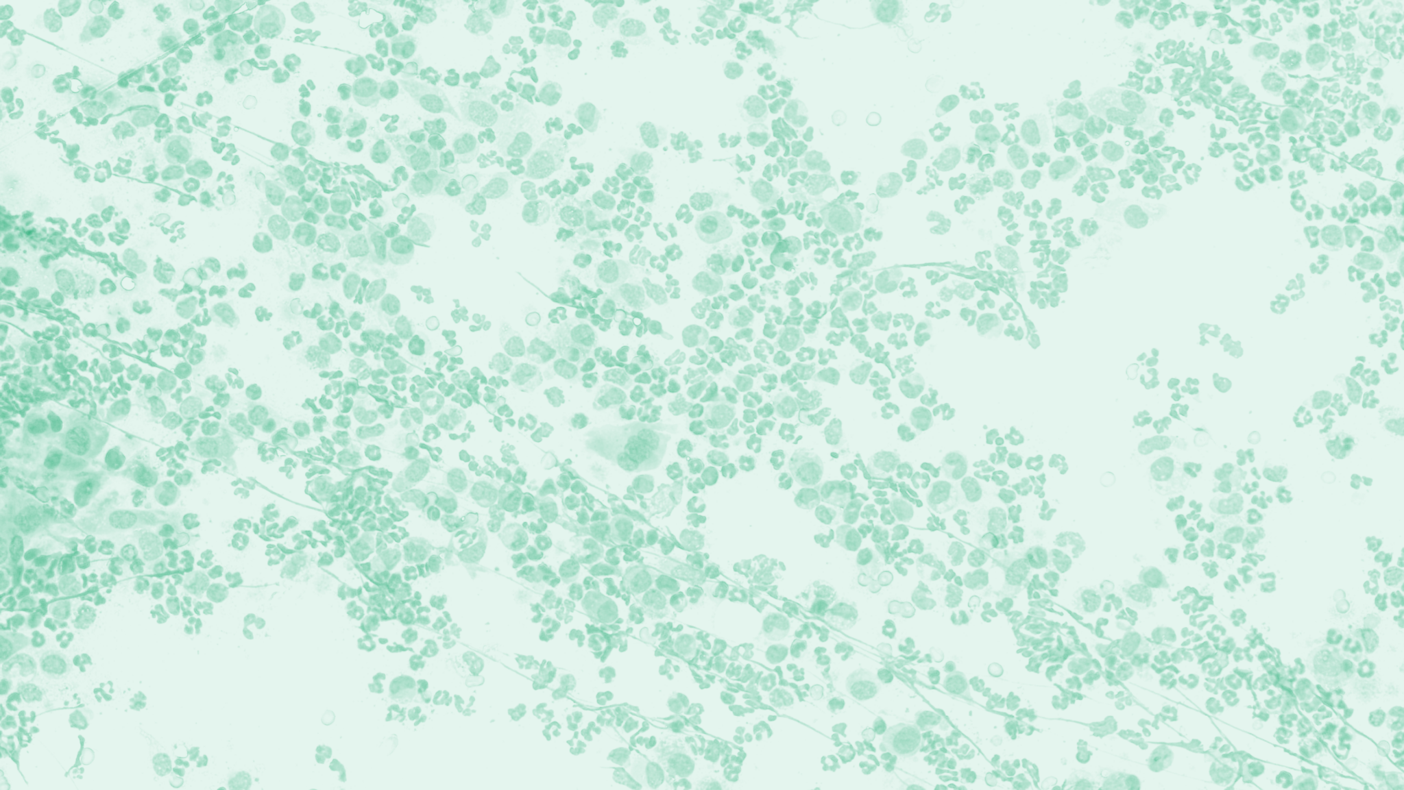 PennHIP | Antech Diagnostics