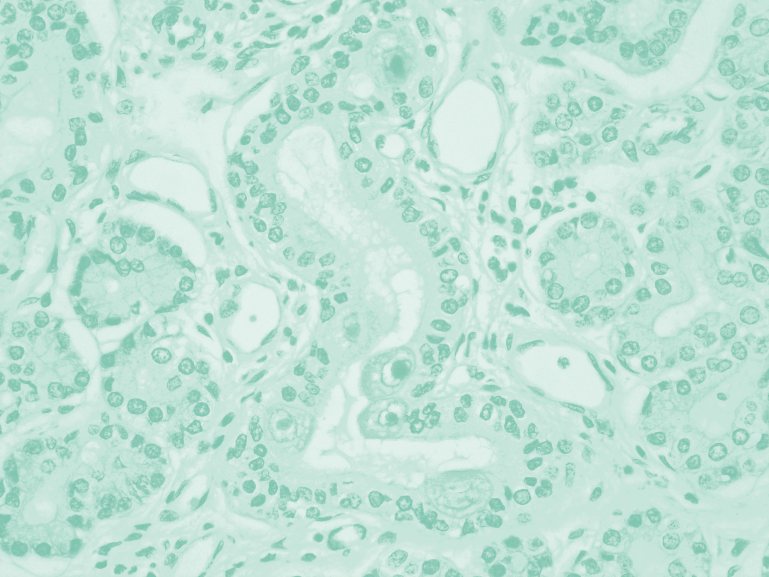 Pathology Submission Best Practices | Antech Diagnostics