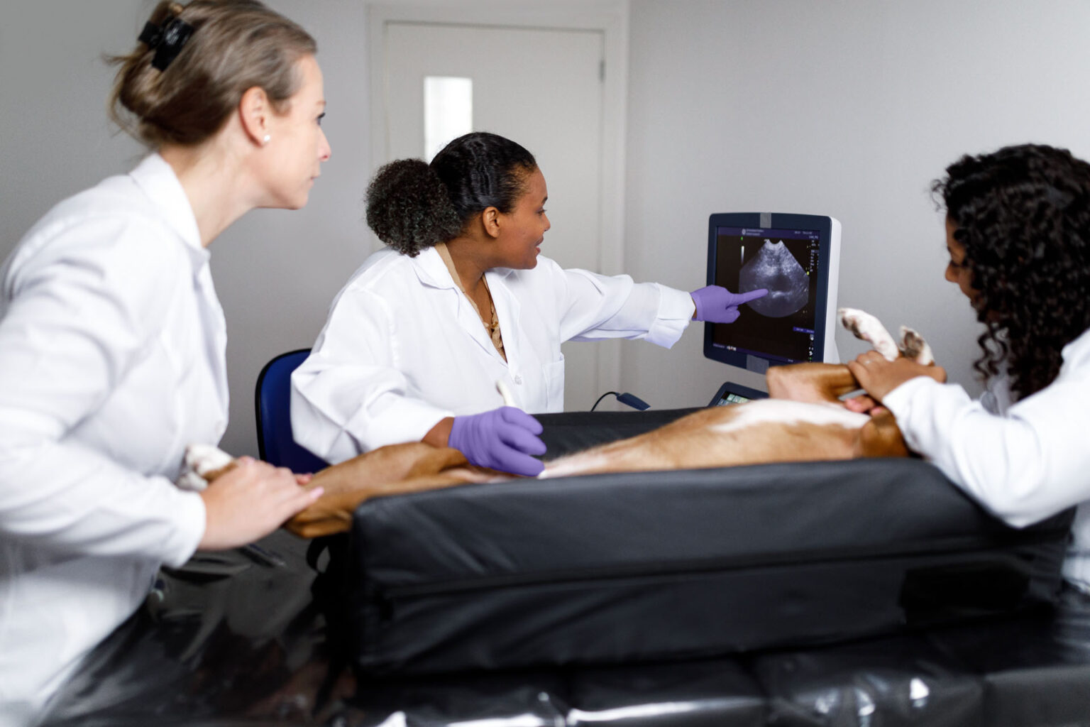 Consulting Services | Antech Diagnostics