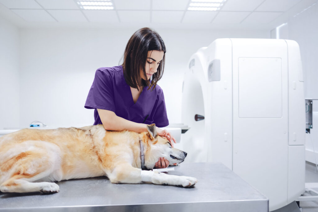 Accuplex | Antech Diagnostics