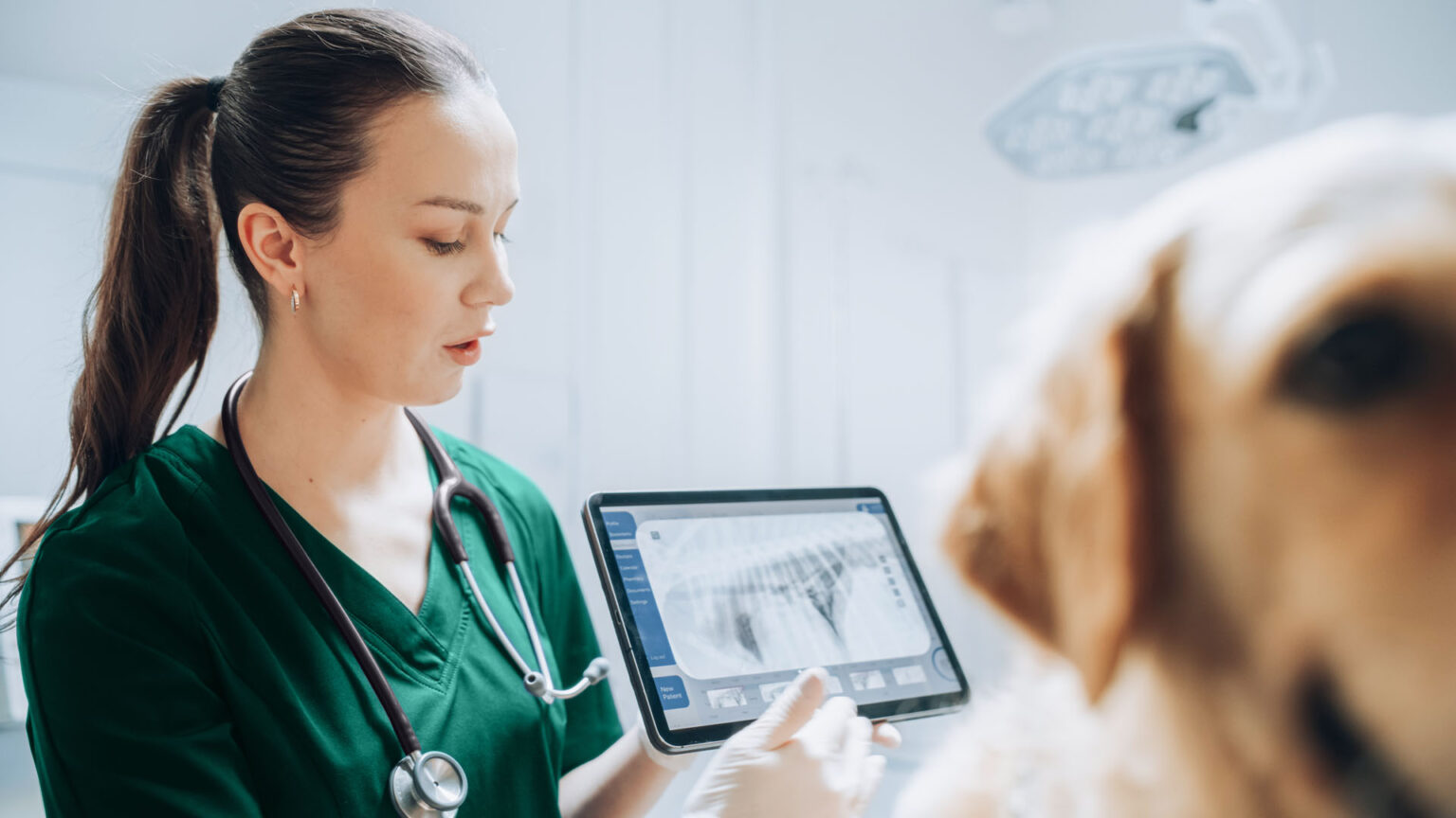 In-House Diagnostics | Antech Diagnostics