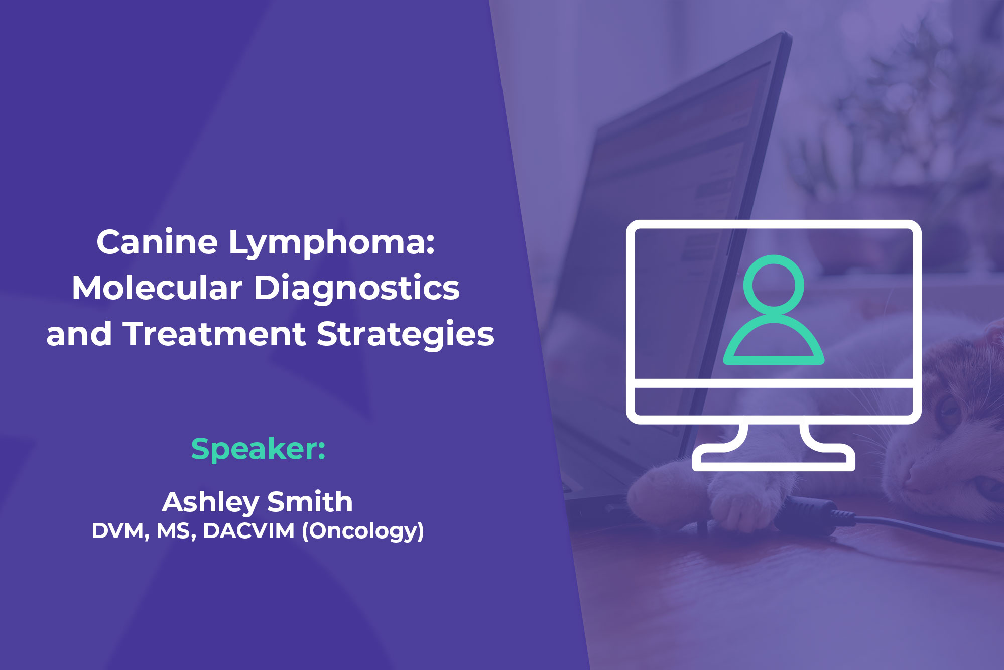 Canine Lymphoma: Molecular Diagnostics and Treatment Strategies | Antech Diagnostics