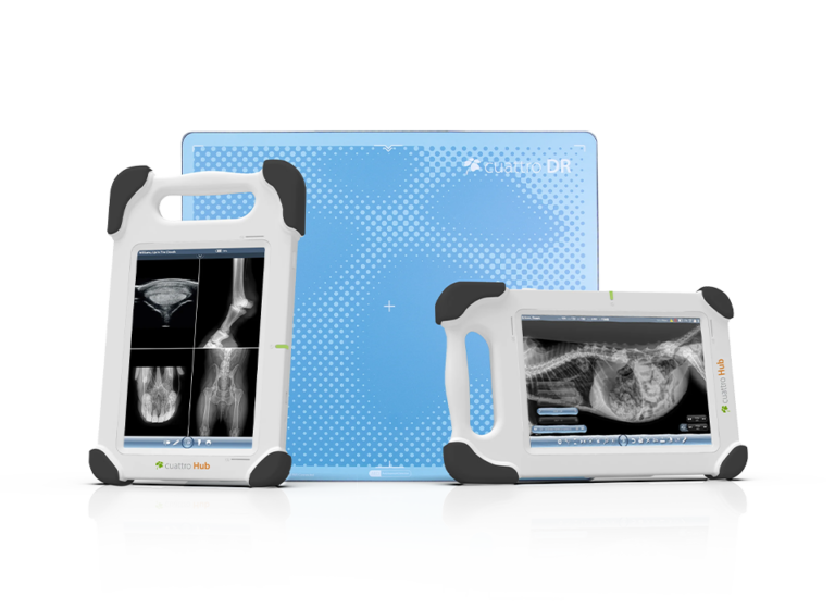 Products | Antech Diagnostics