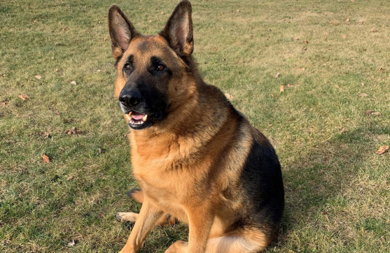 Atopic Dermatitis Shouldn't Be a Death Sentence