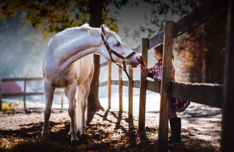 Superchem with SDMA, CBC, Accuplex™, and KeyScreen™ | Antech Diagnostics