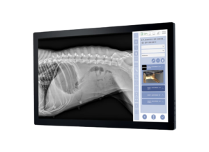 Digital Radiography | Antech Diagnostics