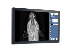 Digital Radiography | Antech Diagnostics