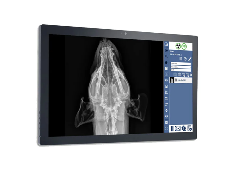 Digital Radiography | Antech Diagnostics