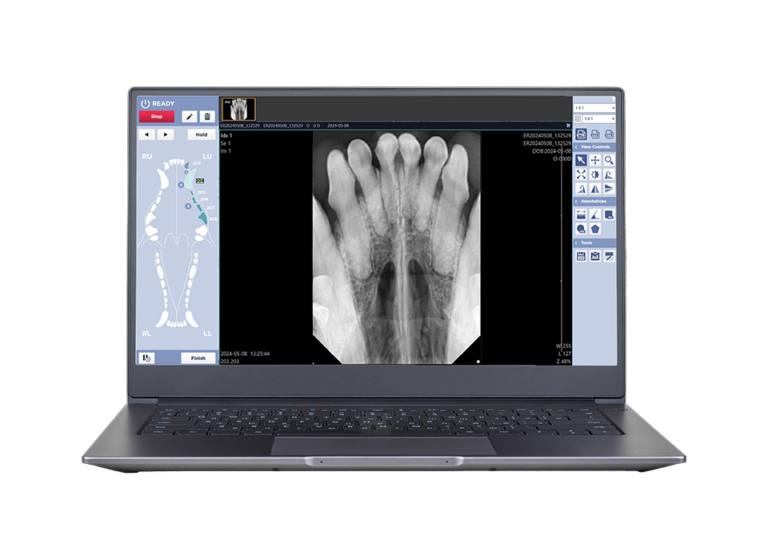 Digital Radiography | Antech Diagnostics