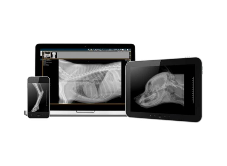 Software | Antech Diagnostics