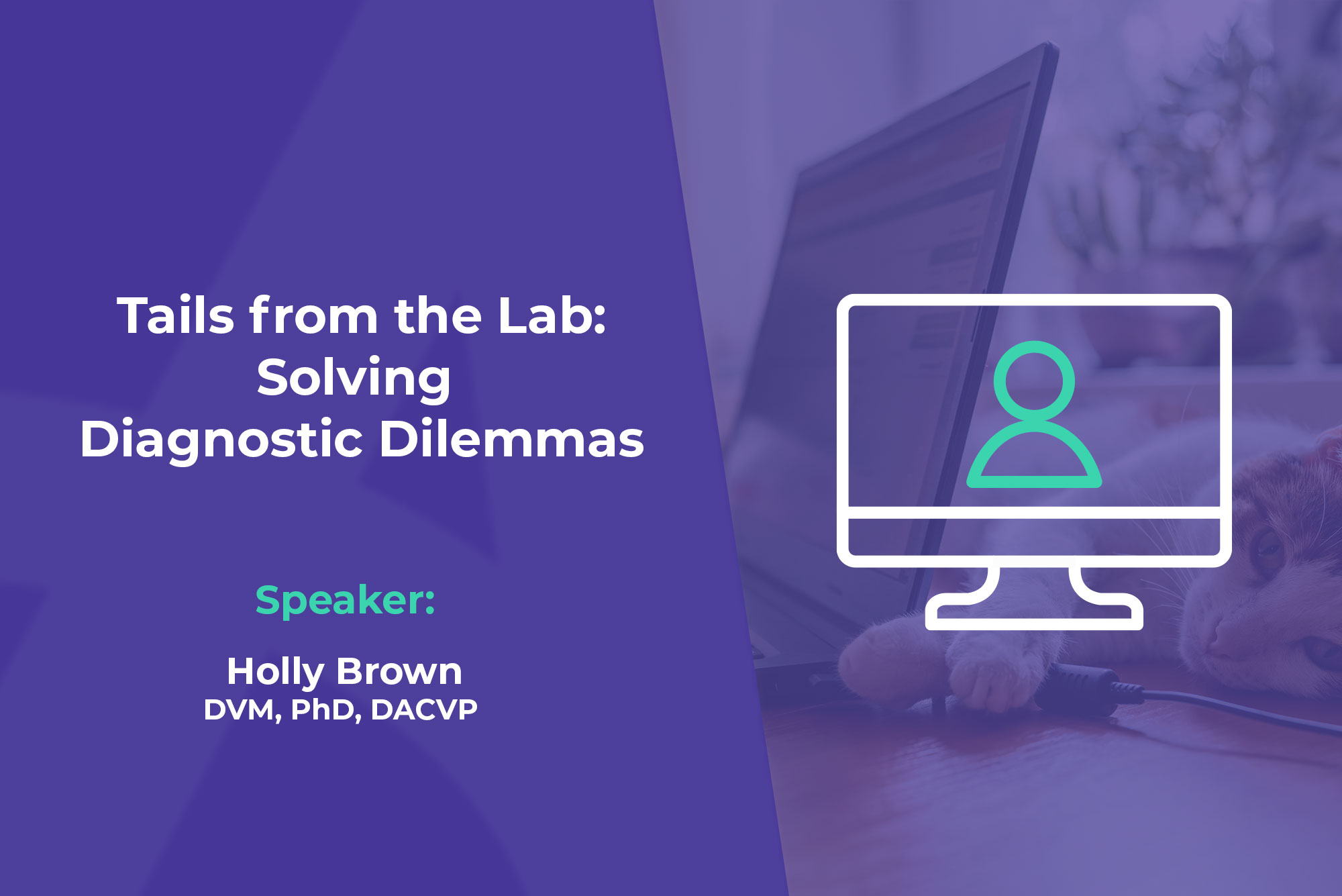 Tails from the Lab: Solving Diagnostic Dilemmas | Antech Diagnostics