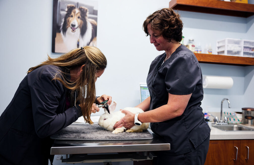 Smarter Diagnostics. Better Care | Antech Diagnostics