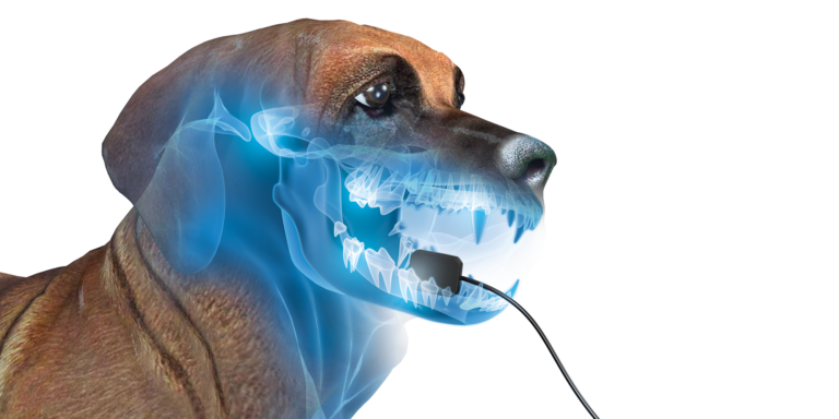 VisionX® | Antech Diagnostics