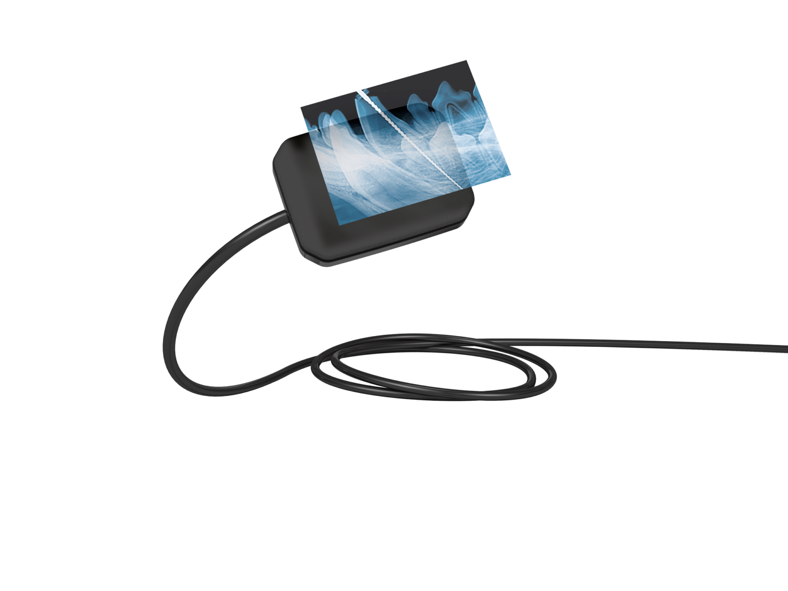 VisionX® | Antech Diagnostics