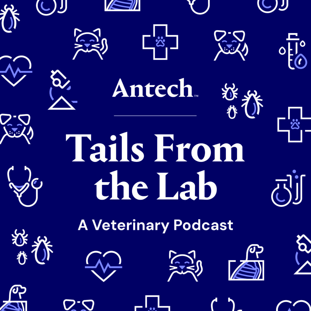 Doug’s twist: Why healthy pets need lab work too | Antech Diagnostics