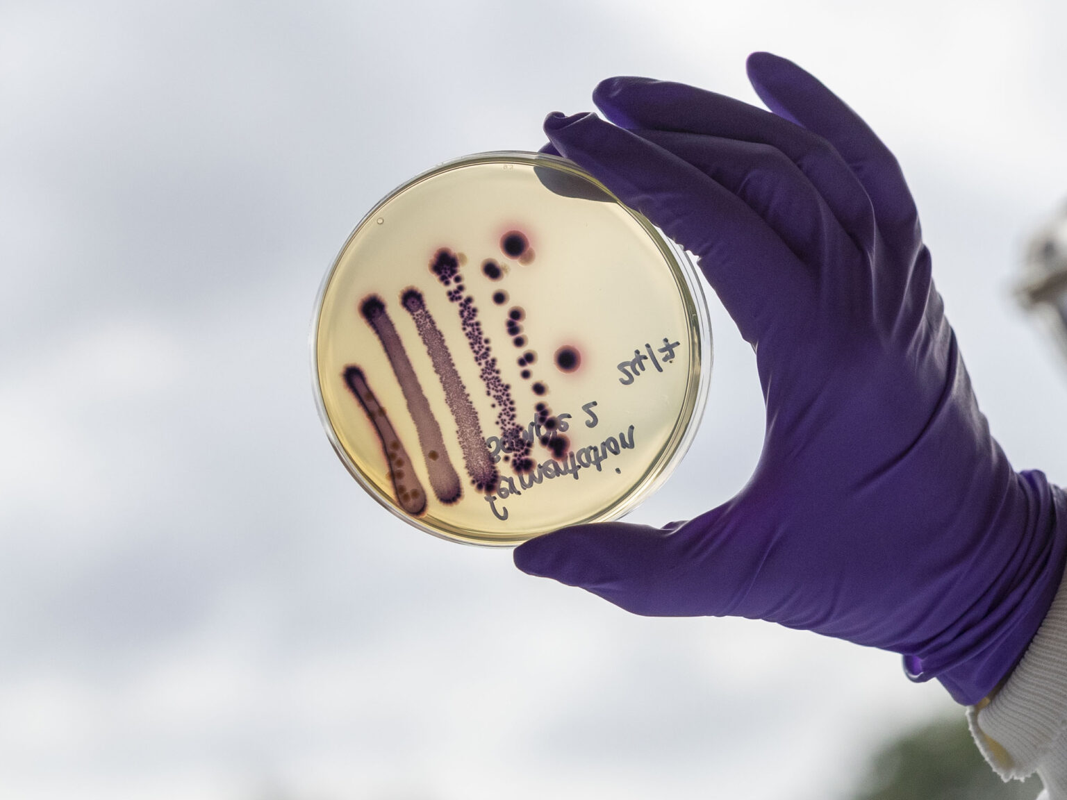 Accurate Diagnostics, Smarter Prescribing: The Twin Engines of ...