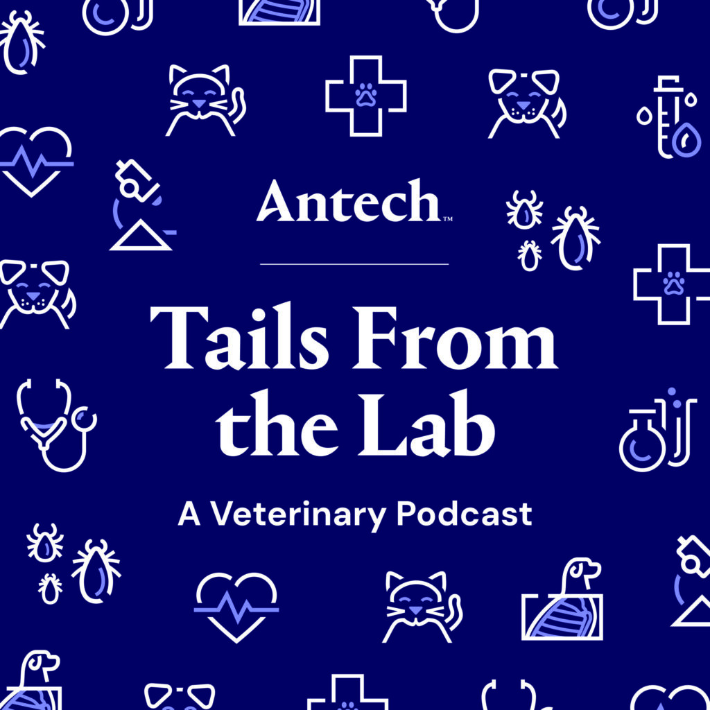 Mental Health in Veterinary Medicine Part Three: Cultivating Self ...